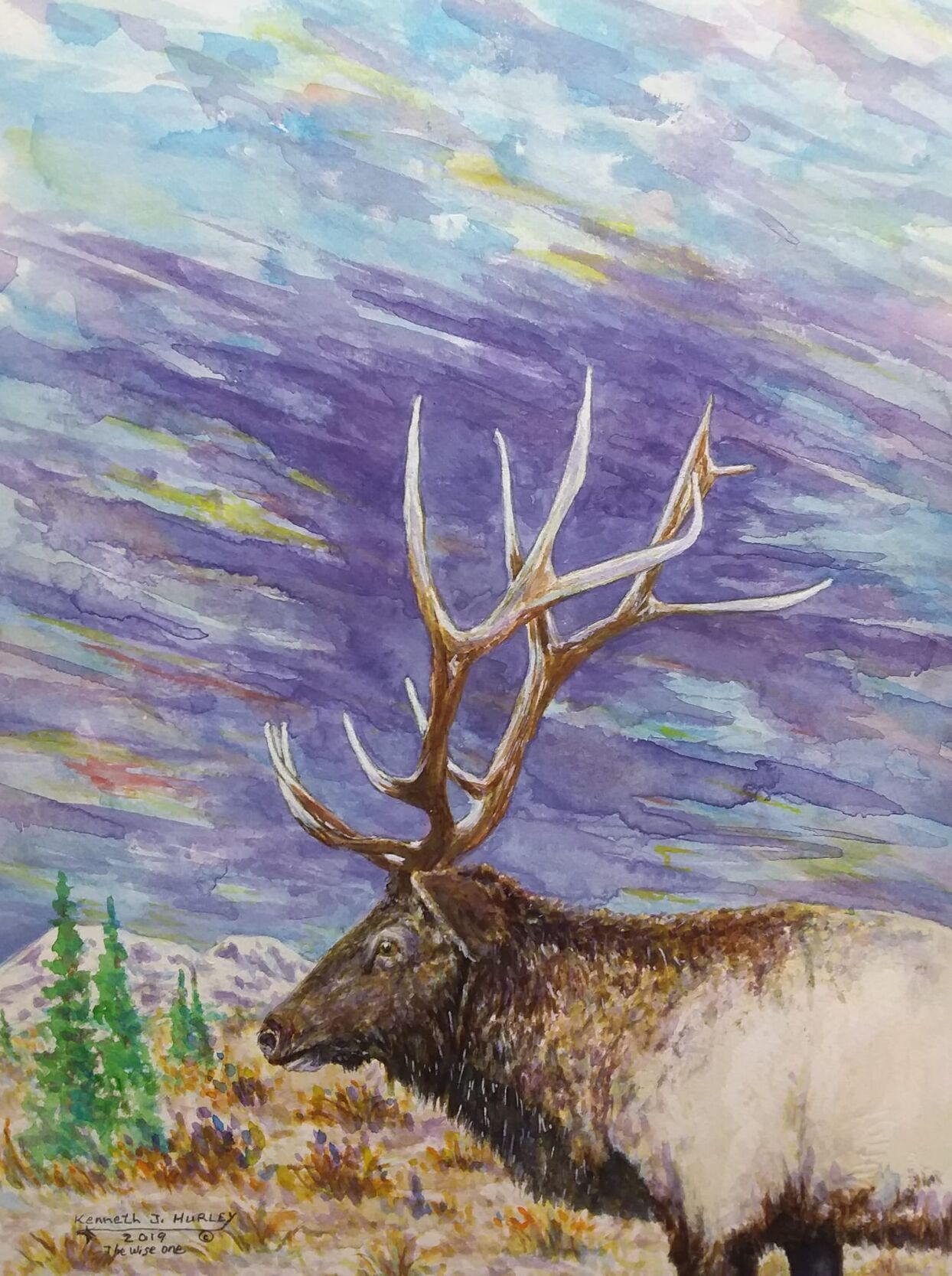 The Buffalo Man returns to the Clymer Museum/Gallery | Ellensburg ...