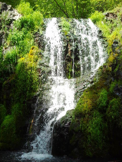 Umtanum Falls: Easy trail for outdoors families | Members ...