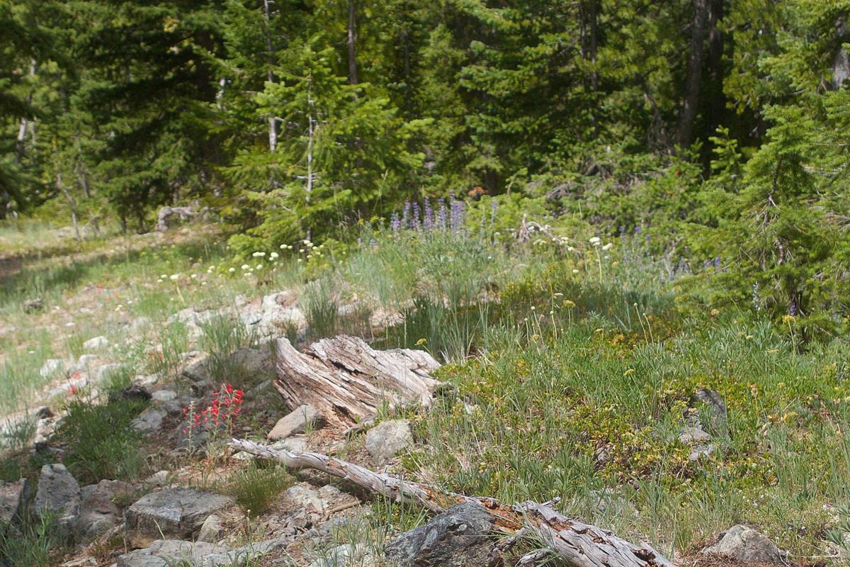 Lake Ingalls a beautiful alpine lake experience | Outdoors ...