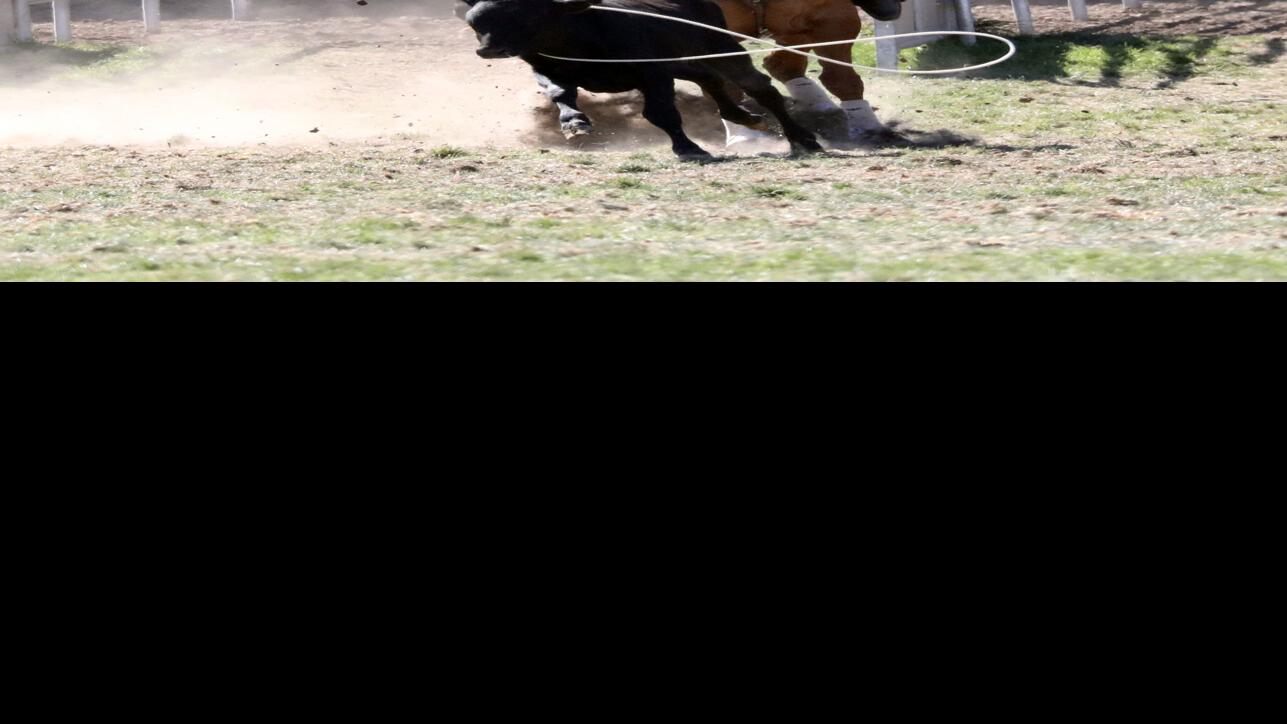 Ellensburg Rodeo | dailyrecordnews.com