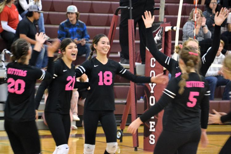 Digging deep: No. 21 Kittitas volleyball season-sweeps Cle Elum-Roslyn ...