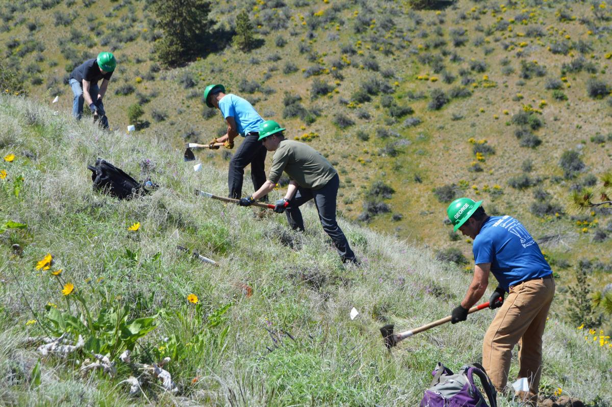 Volunteers work to make Manastash Ridge trail system more sustainable ...