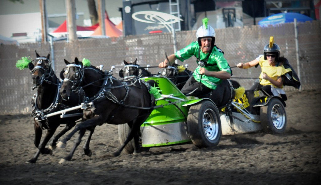 Rodeo specialty act to race chariots | Members | dailyrecordnews.com
