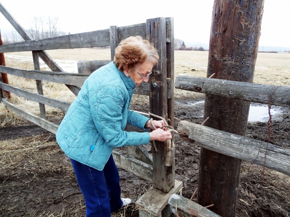 Women ranchers | Photo Gallery | dailyrecordnews.com