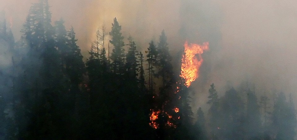 Taylor Bridge Fire crews focus on north perimeter | Top Story ...