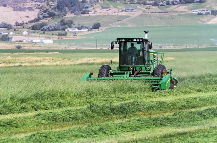 Kittitas Valley hay growers dealing with slow markets, water shortage ...