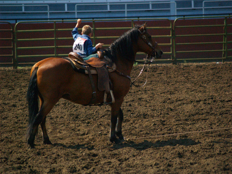 Kids take over arena at Junior Rodeo | Members | dailyrecordnews.com