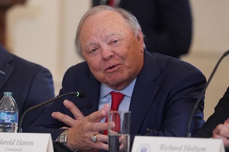 Trump promises oil executives 'total safety' if they invest in ...