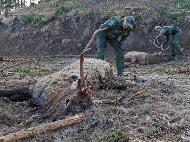 Washington State Police Fish and Wildlife Investigate The Death Of Two ...