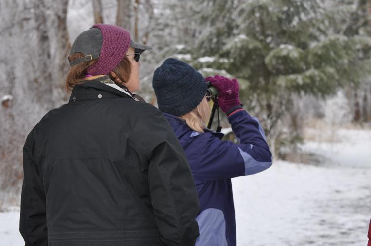 Senator Warnick participates in the 2019 Christmas Birdcount ...