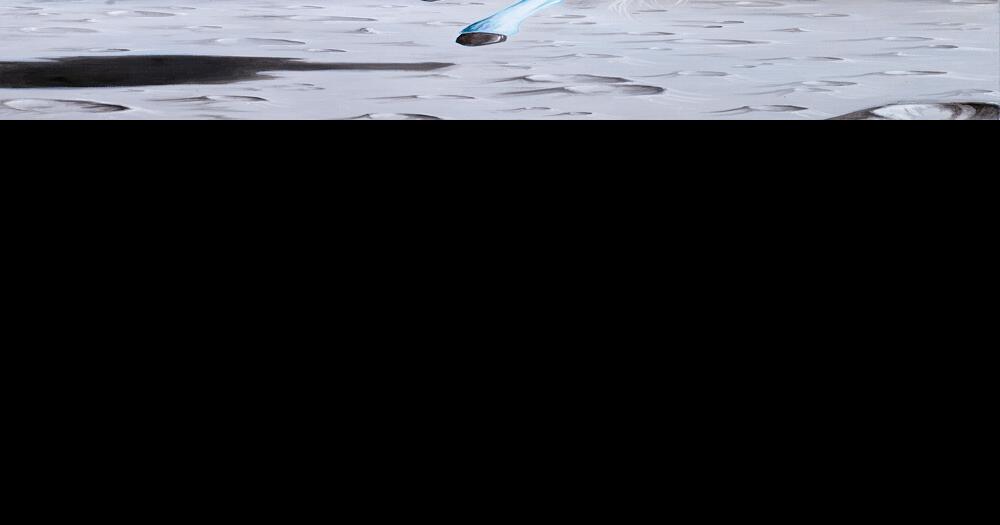 Thorp gallery’s new exhibit wants you to forget everything you knew ...