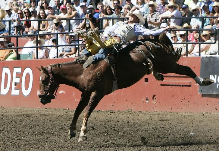The sport of rodeo has evolved over the years | Members ...