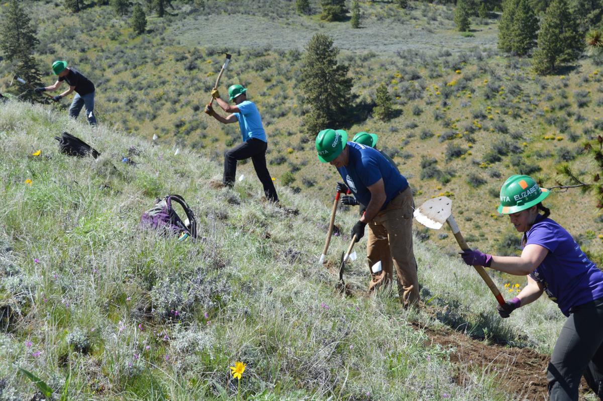 Volunteers work to make Manastash Ridge trail system more sustainable ...