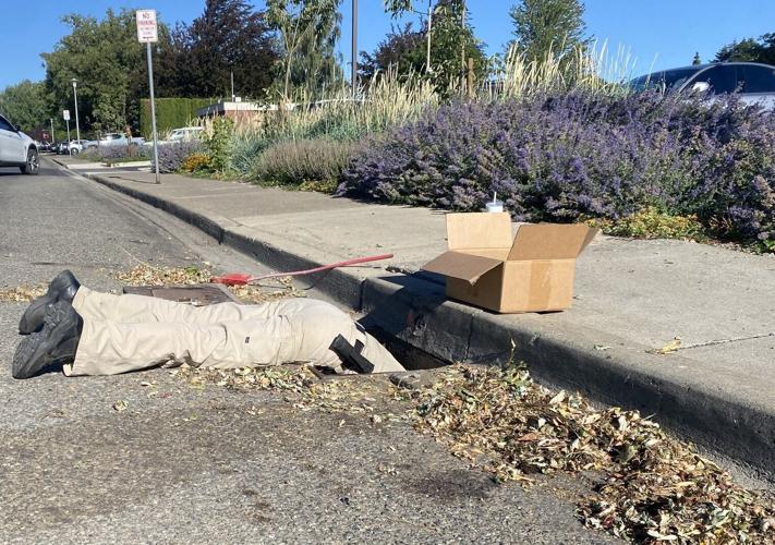 Quail-ity work, officer | Ellensburg | dailyrecordnews.com