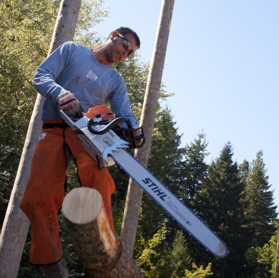 Crowd fills Roslyn park for logging competition | News ...