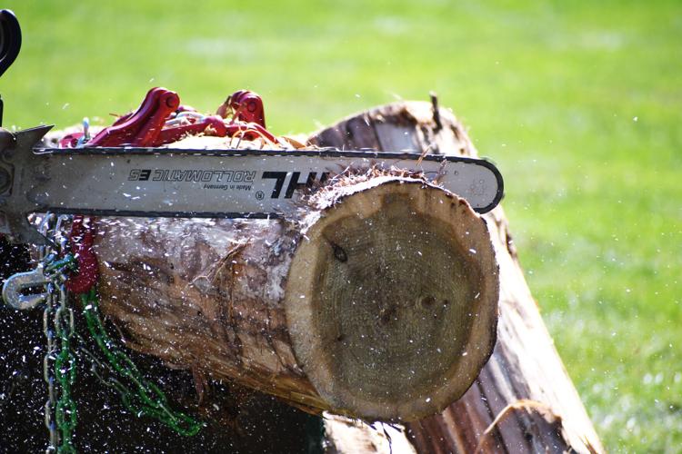 High Country log show celebrates the town's history | Community ...