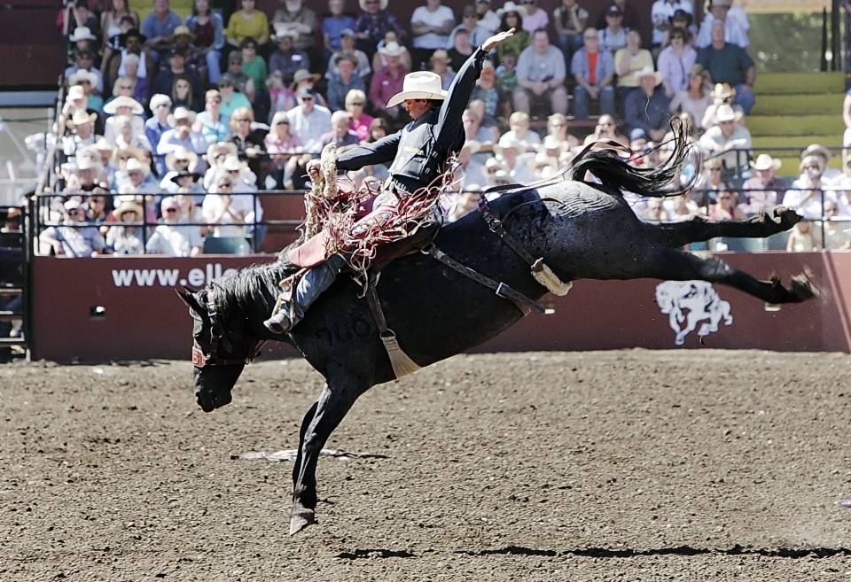 Ellensburg Rodeo money extends seasons for many competitors | Top Story ...