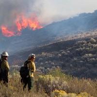 Wildfire near Ellensburg fully contained | Top Story | dailyrecordnews.com