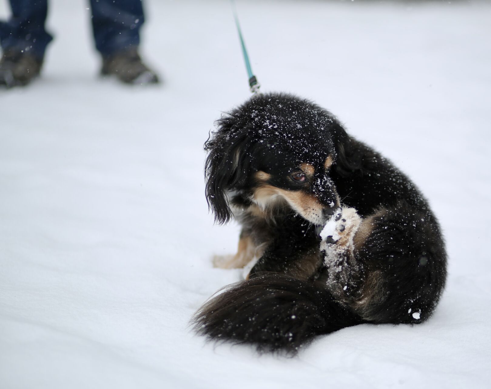 SNOW PROBLEM: Storm closes Pass but winter weather will soon relent ...