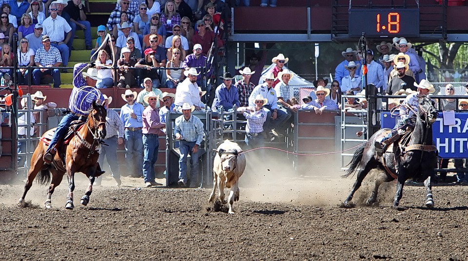 Ellensburg Rodeo money extends seasons for many competitors | Top Story ...