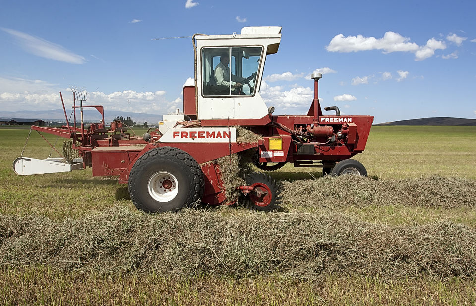 Second hay cutting | Photo Gallery | dailyrecordnews.com