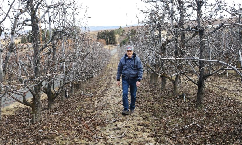 Decades of dedication — The roots run deep at Sundance Orchards and the ...