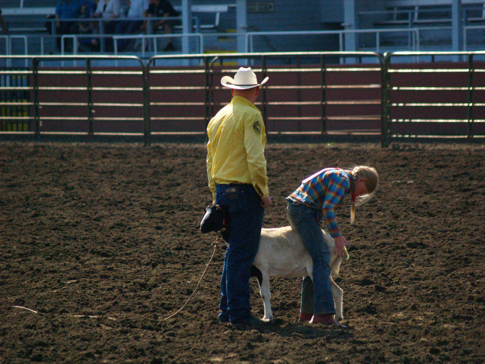 Kids take over arena at Junior Rodeo | Members | dailyrecordnews.com