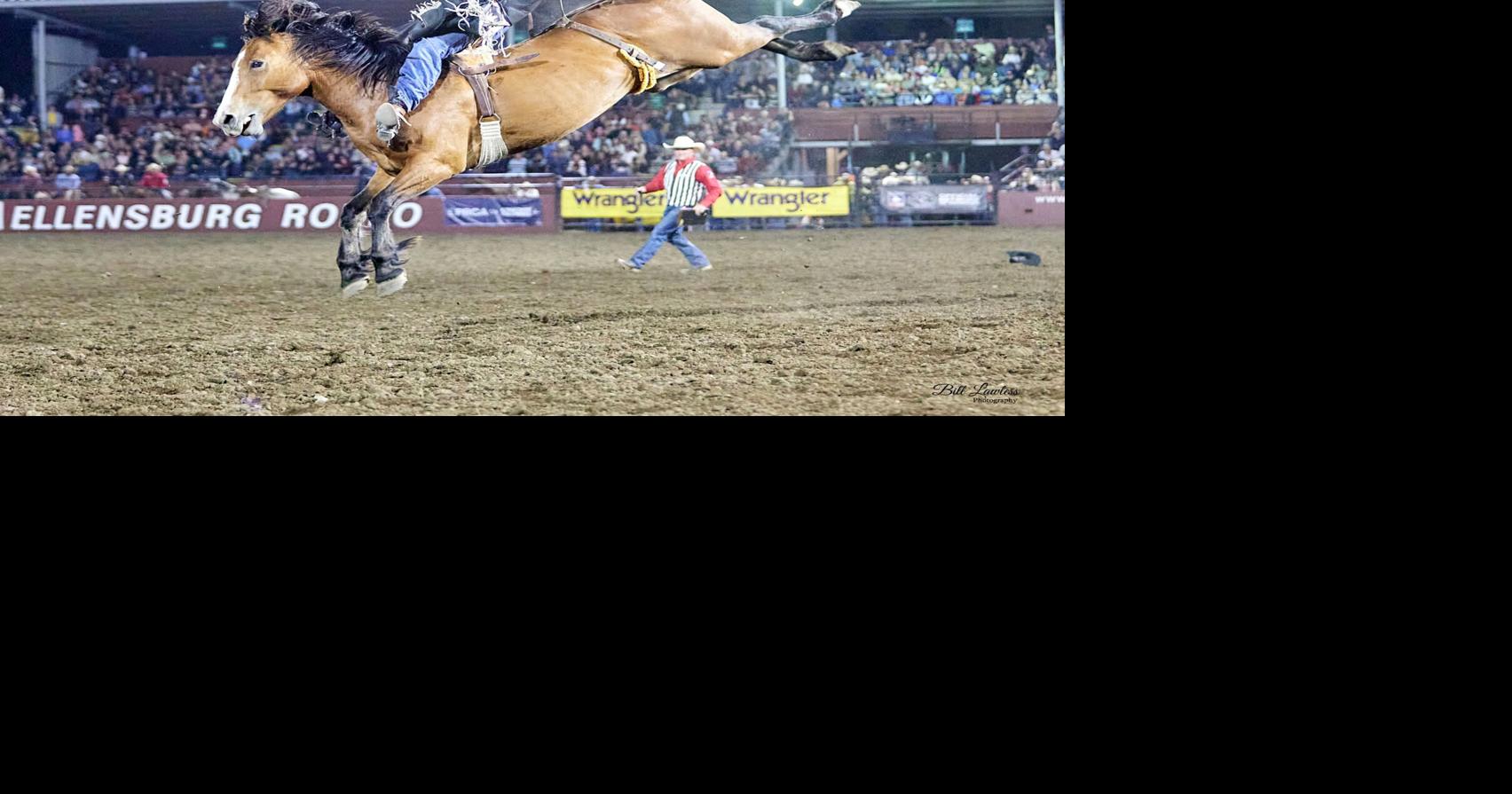 Hitting it big: Local horse, bull chosen for 65th Wrangler National ...