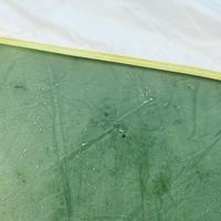 bear with bitten ear