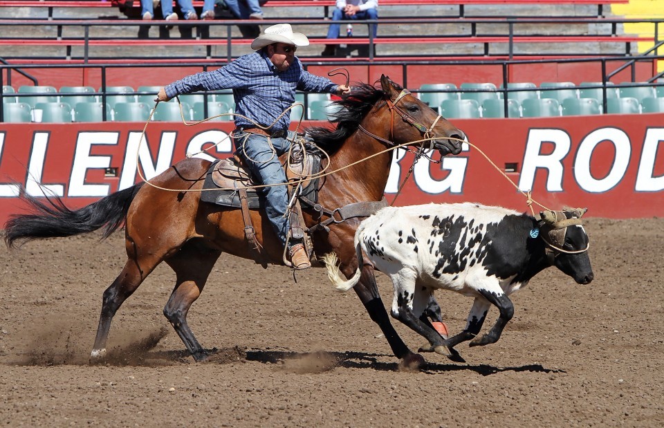 Steer roping leader Cody Lee wins in slack | Ellensburg Rodeo 2012 ...