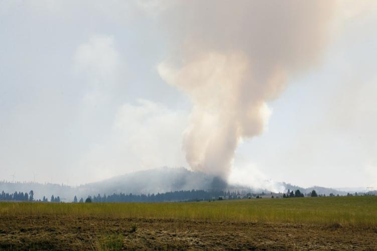 Crews limit losses on Taylor Bridge Fire | News | dailyrecordnews.com