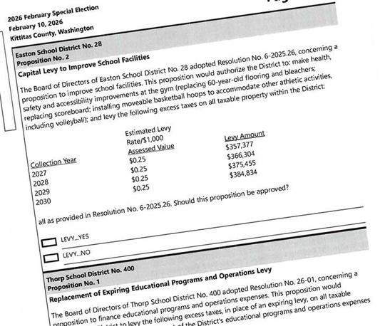 Ballots go out for special election in February | Election Forums ...