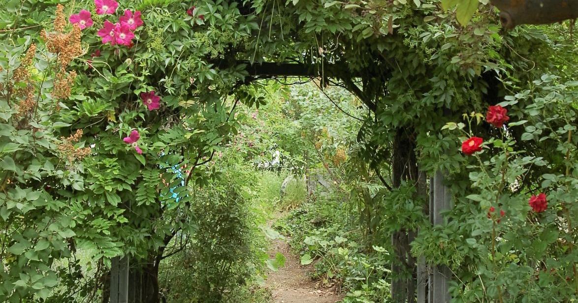 Doug and Michele Bucklin earn June Garden of the Month honors ...