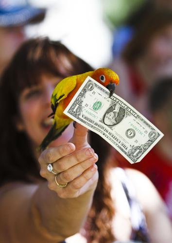 Interactive bird show leads to educational opportunities at the fair ...