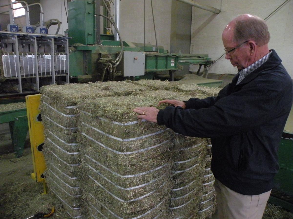 Timothy hay first cutting reflects high quality | News ...