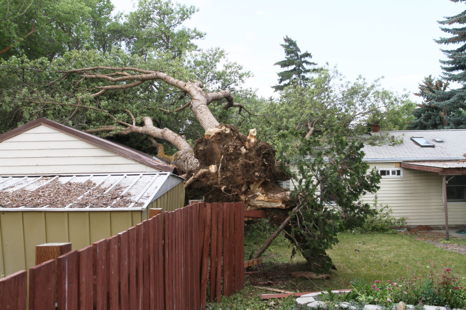 Thunderstorm damage | Photo Gallery | dailyrecordnews.com
