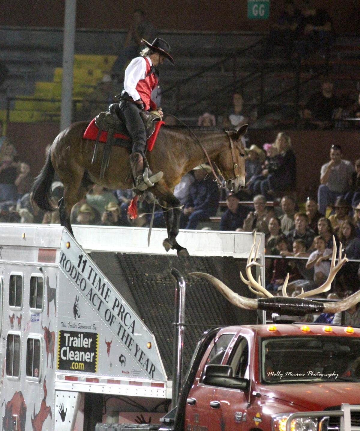 One Armed Bandit to be inducted into Hall of fame | News ...