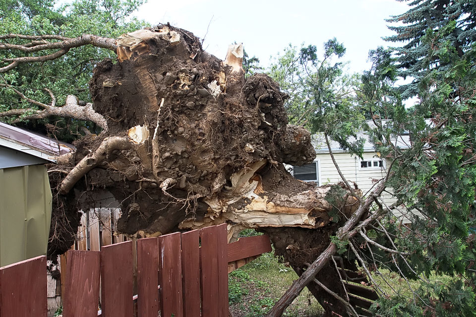 Thunderstorm damage | Photo Gallery | dailyrecordnews.com