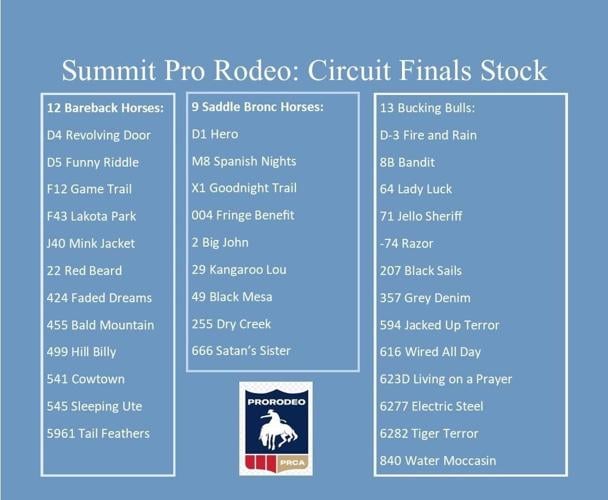 Some of the Summit Pro Rodeo stock bucking at the Mountain States ...