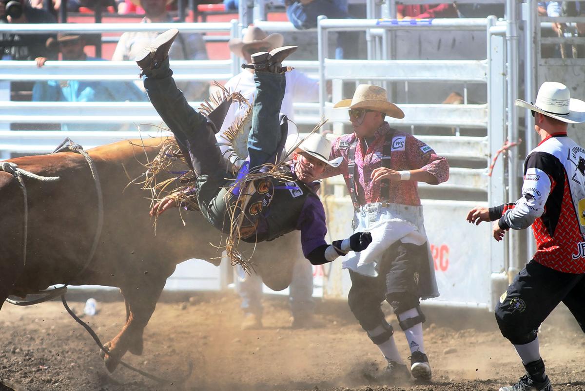 A look around the rodeo arena from Labor Day weekend | Members ...