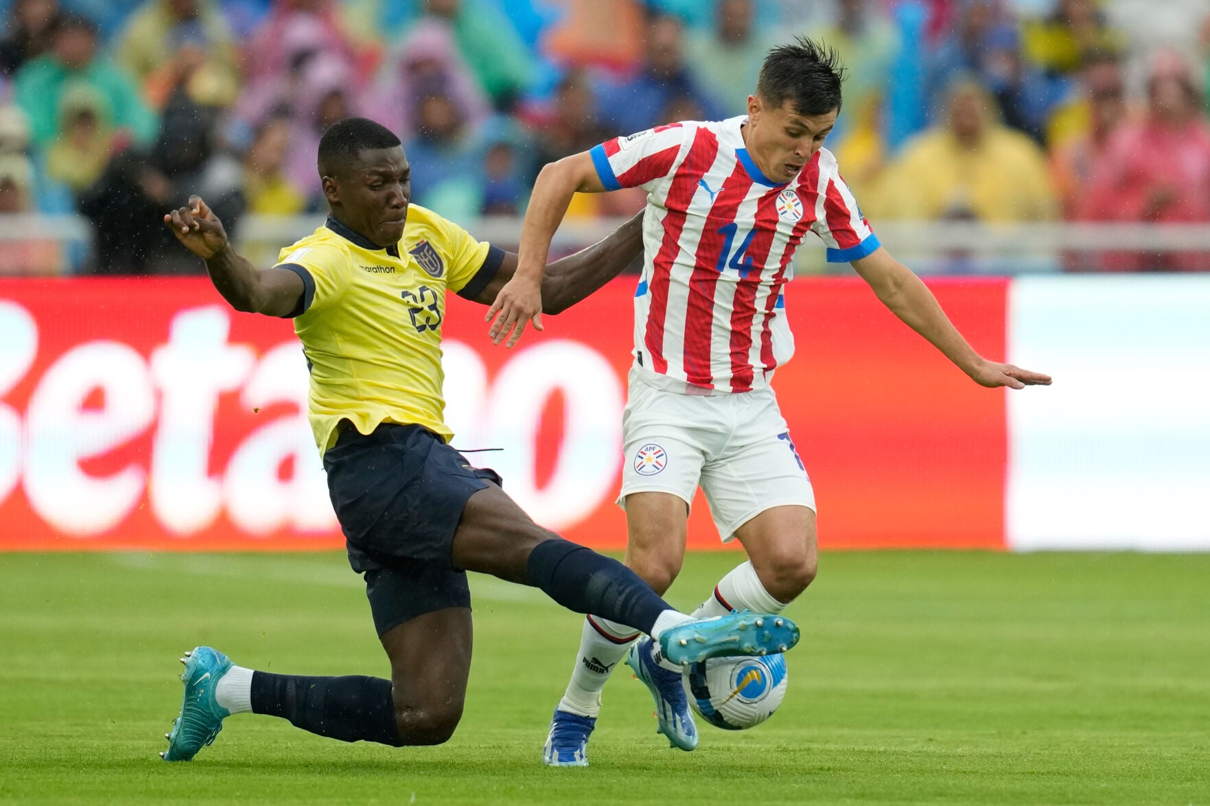 WCup Group E Preview Soccer | Sports | dailyrecordnews.com