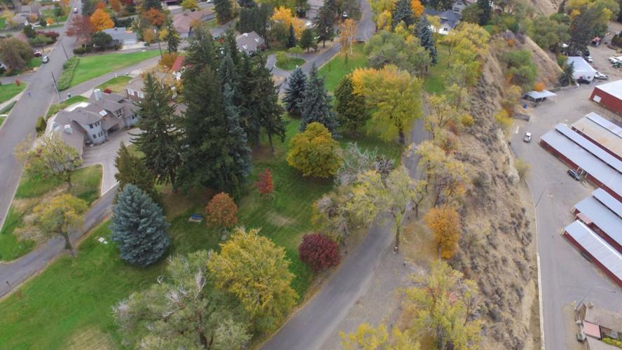 RWD Landscape Architects representative will present plans for Reed ...