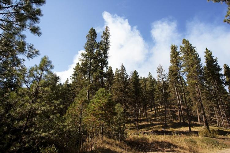 More resources arrive to fight Kittitas, Yakima county fires | News ...