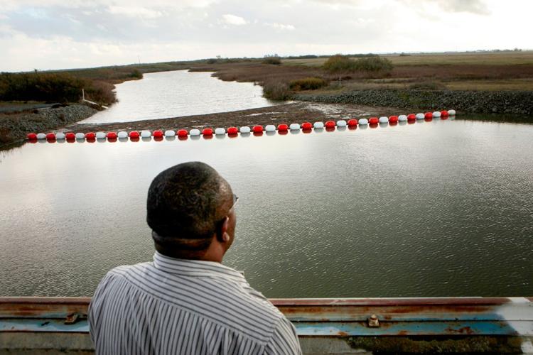 Bay Delta Conservation Plan being released by state | News ...