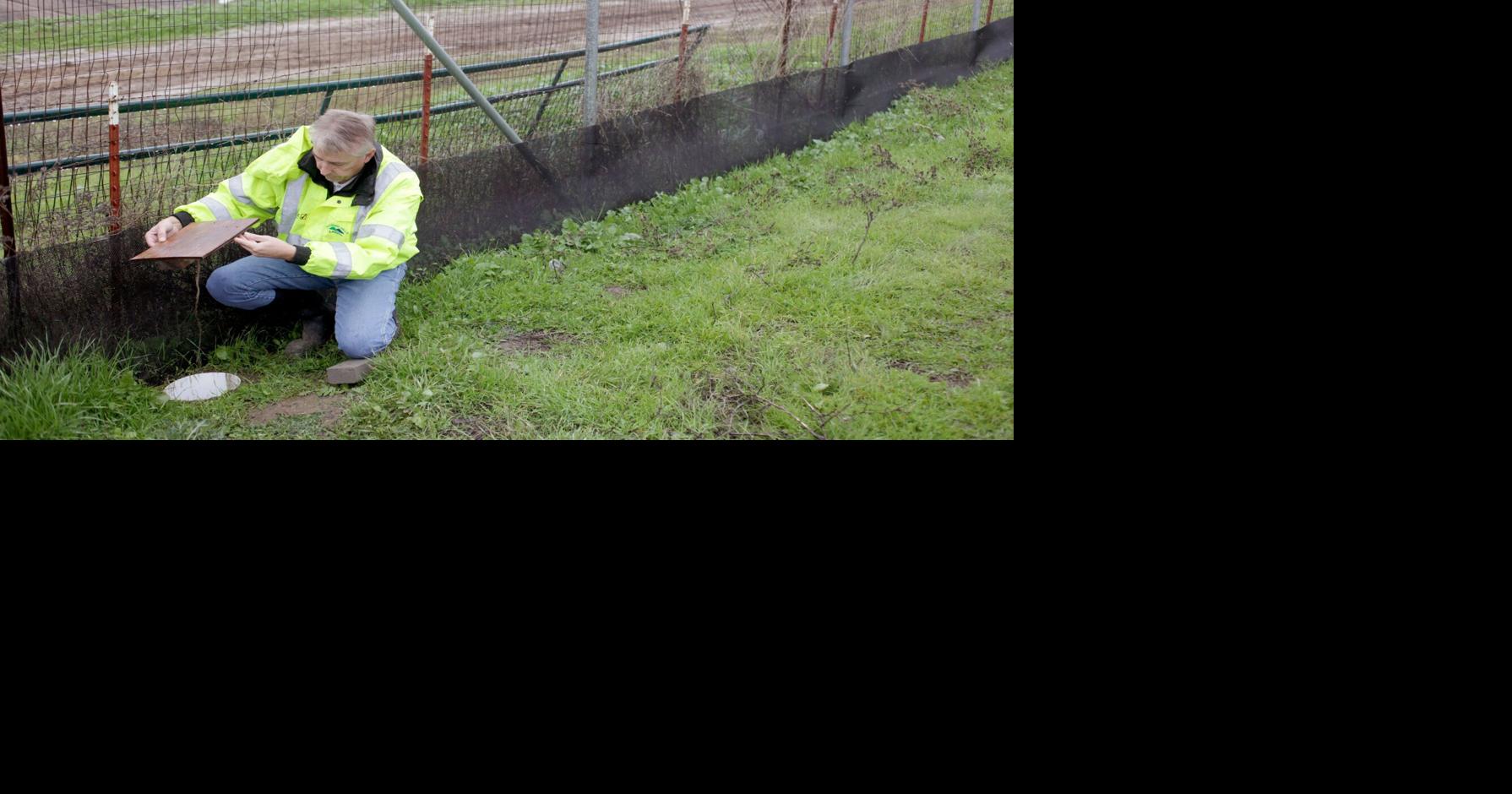Potrero Hills Landfill relocating rare salamanders | Solano County ...