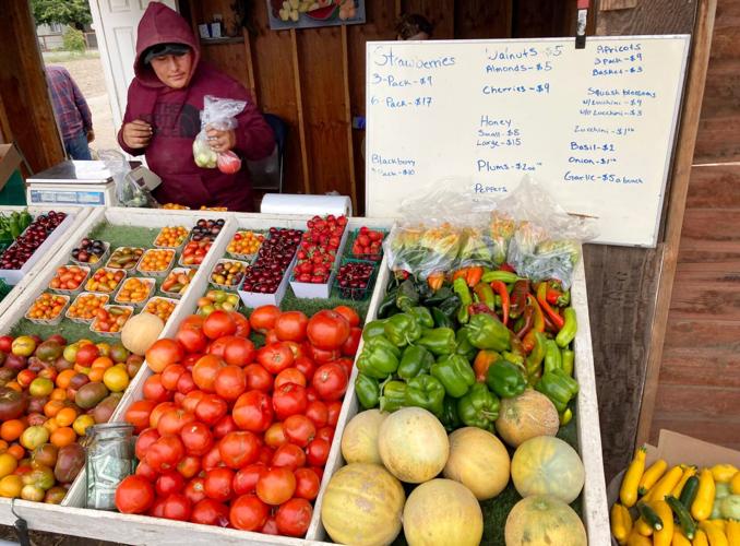Solano County gets $750K for Suisun Valley Farm to Market efforts ...