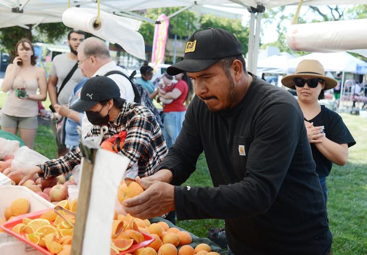 Fairfield Farmers Market opens to a summer of produce, goodies and ...