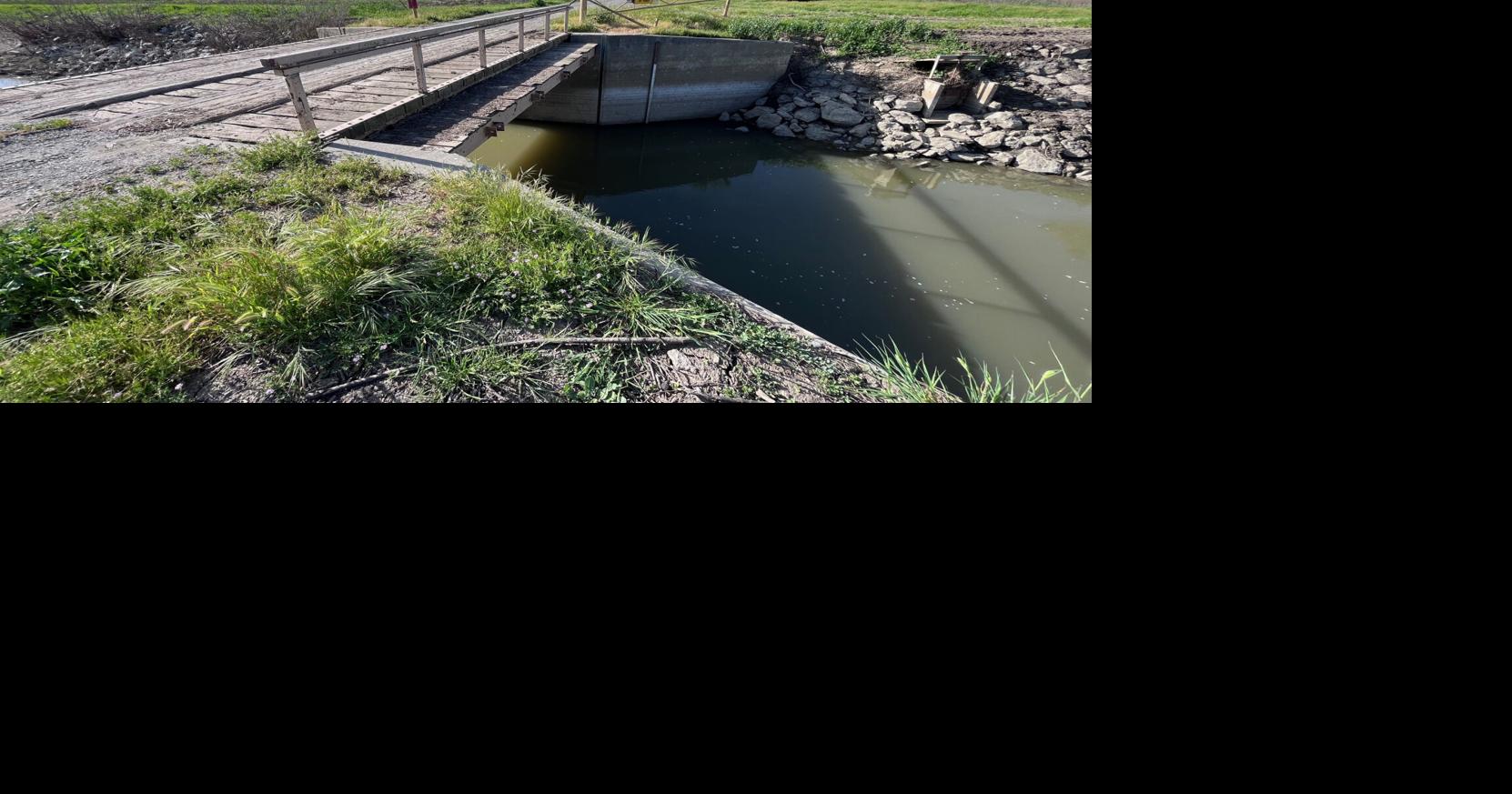 SCWA to get state F&W grant to find Los Rios Check Dam solution | News ...