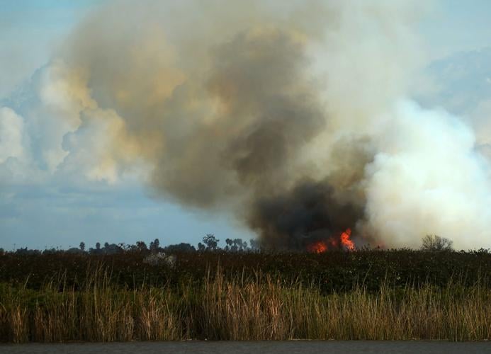 Wildfire blazes through Suisun Slough | | dailyrepublic.com