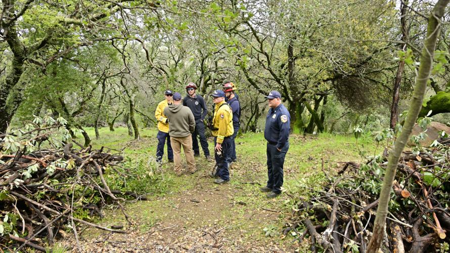 Work on wildfire fuel break gets underway in Green Valley | Solano ...